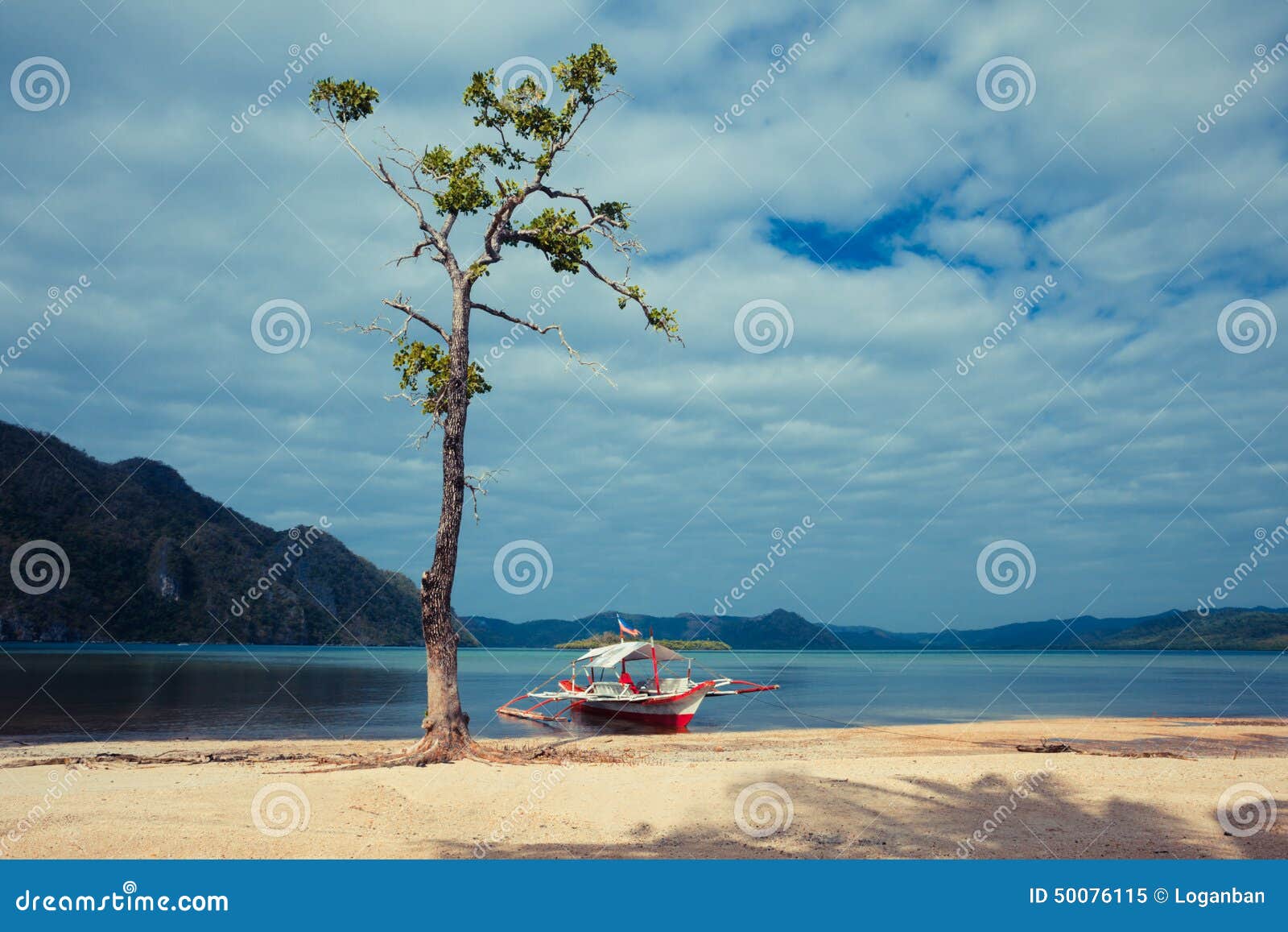 Boat by Tree on Tropical Beach Stock Image - Image of nature, tree ...