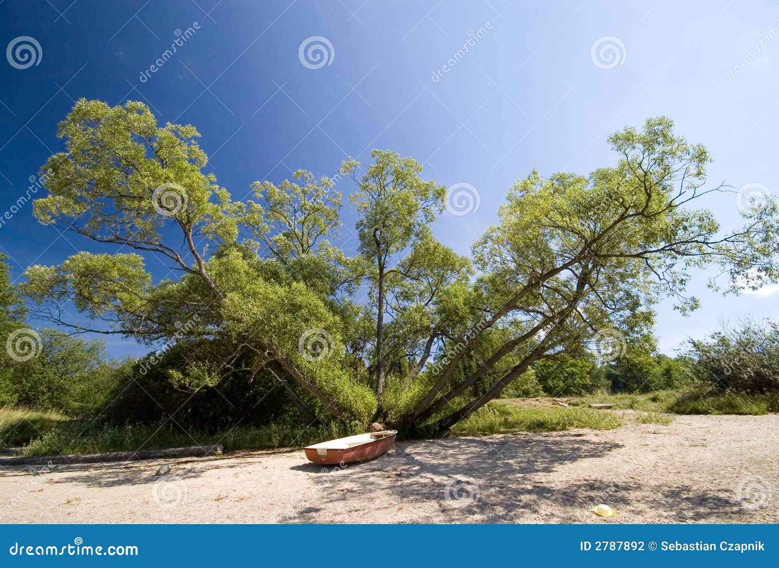 Boat under tree stock photo. Image of transition, shore - 2787892