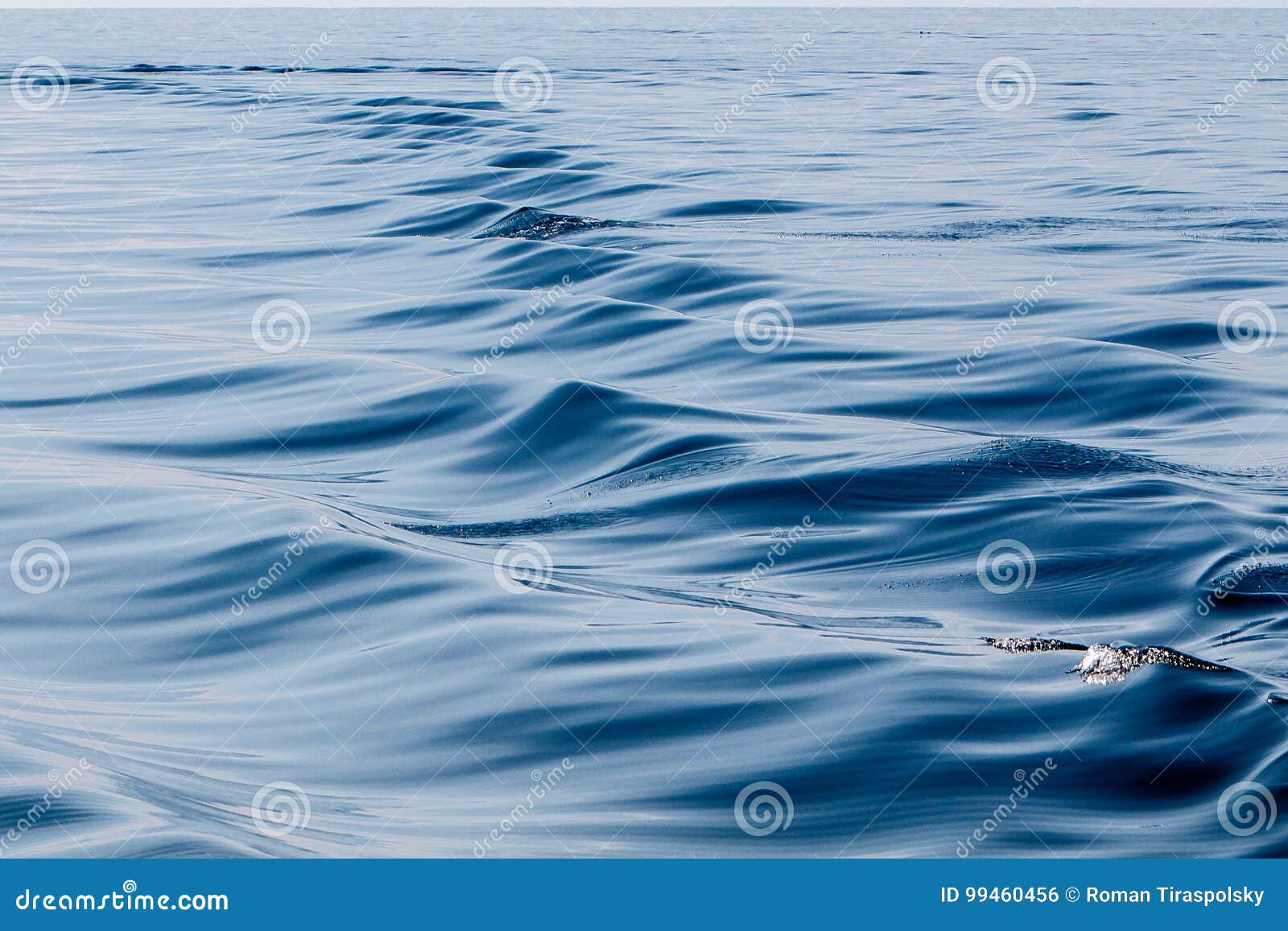 Boat wake stock photo. Image of trail, wavy, marine, blue - 99460456
