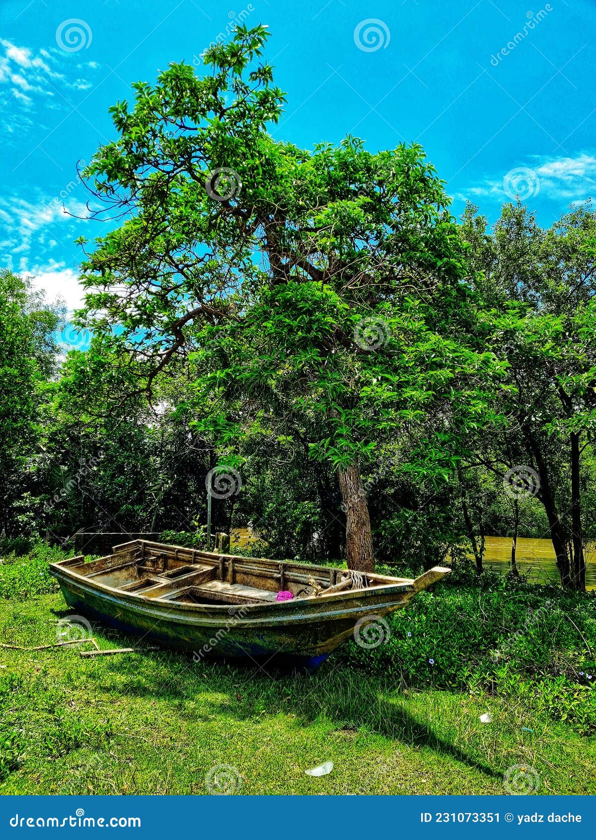 Boat without water stock image. Image of forest, vegetation - 231073351