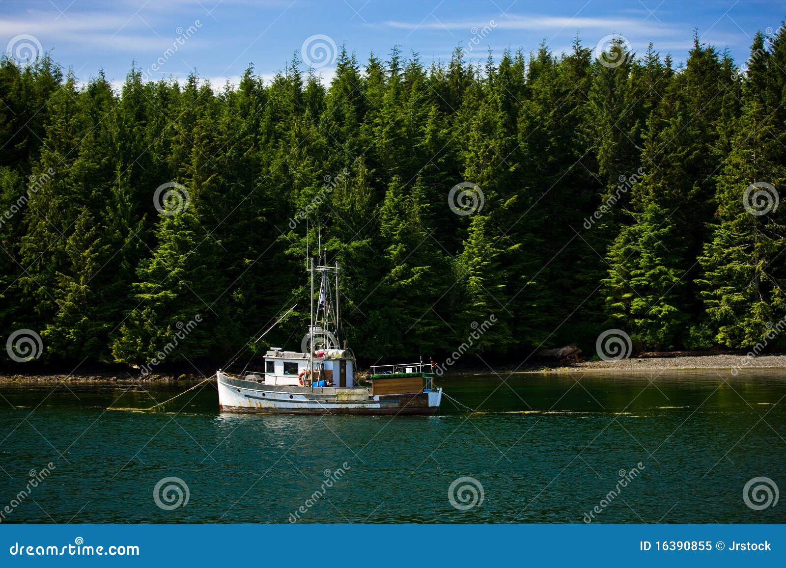 Boat in Water Surrounded by Forest Stock Image - Image of cloud, green ...