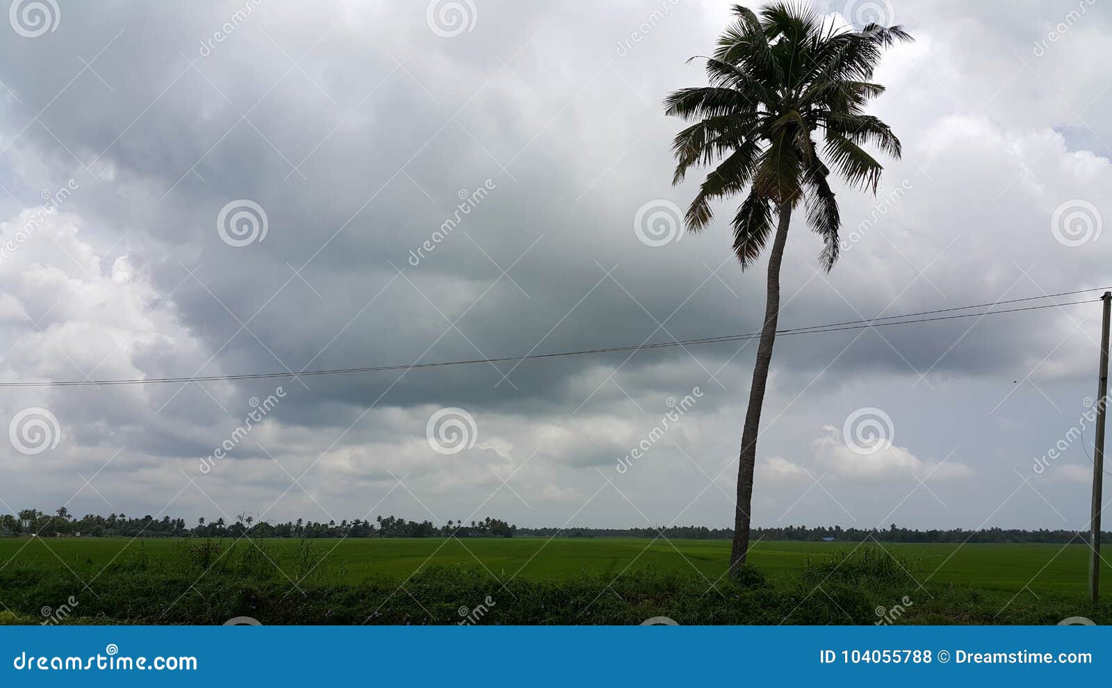Boating in Azhapuzha, Kerala, India Stock Photo - Image of prairie ...