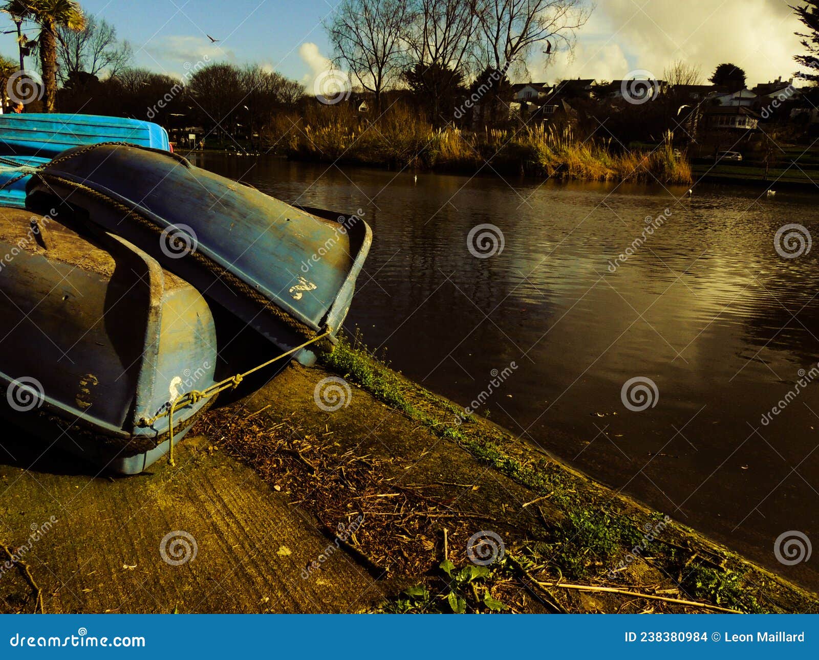 Boating lake scene stock photo. Image of lake, reflection - 238380984