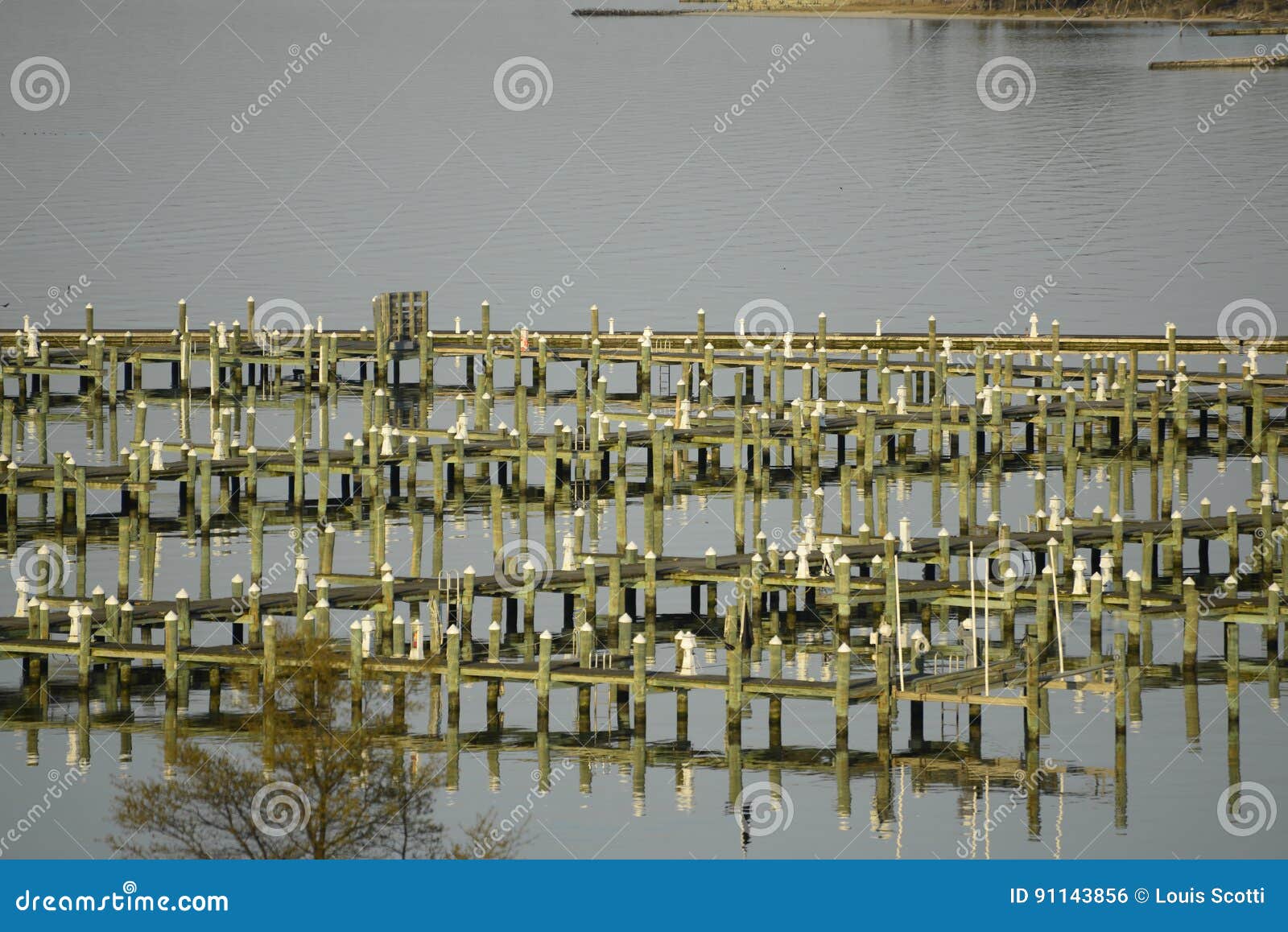 Boating slips stock photo. Image of shellfish, family - 91143856