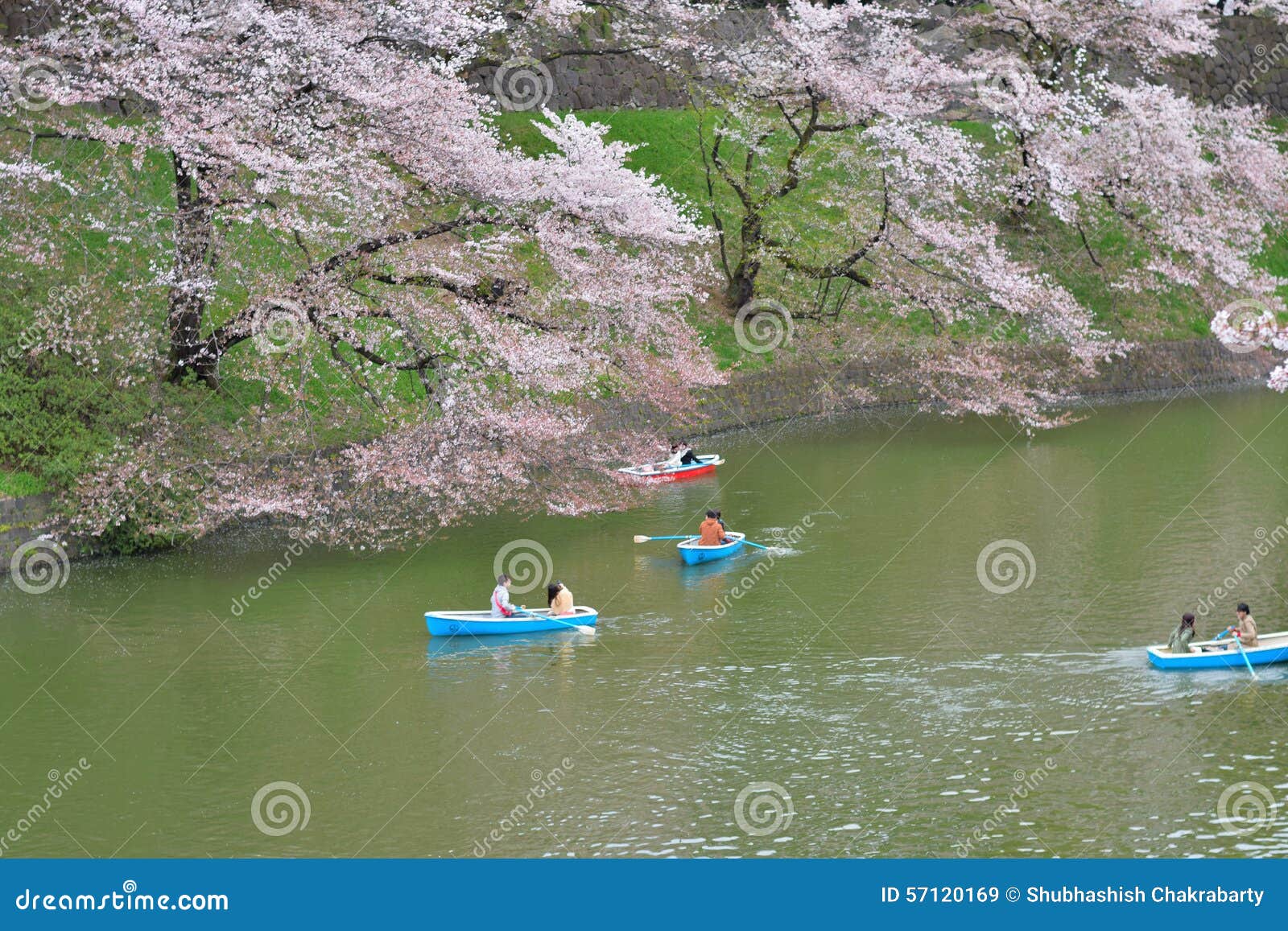 Boating during Spring Season at Tokyo Editorial Stock Image - Image of ... Boating during Spring Season at Tokyo Editorial Stock Image - Image of ...