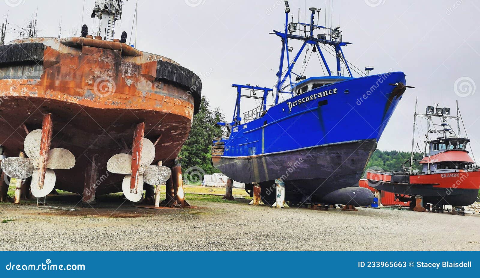 Giant Ships And Cranes Editorial Photo | CartoonDealer.com #181098965