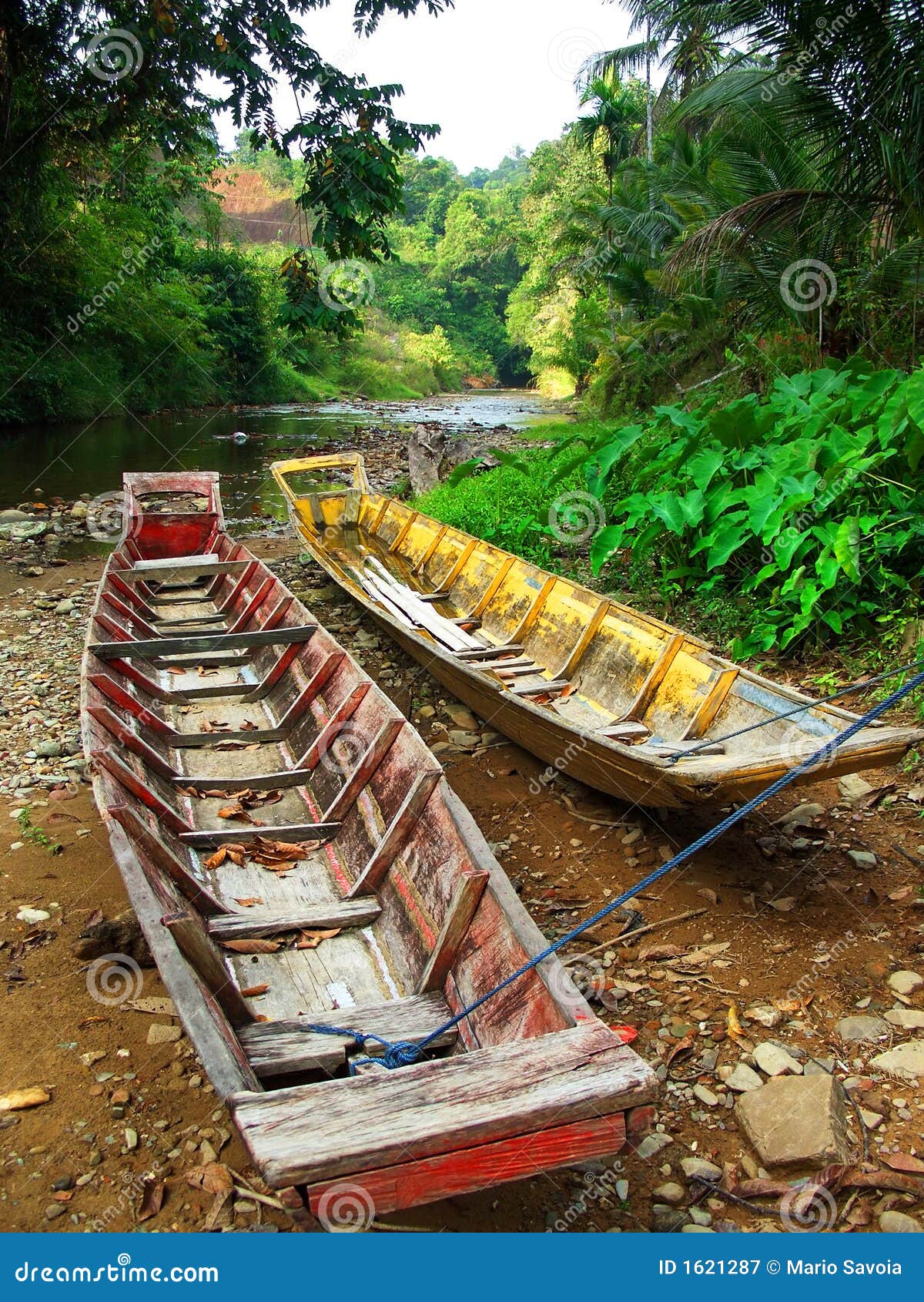 Boats beside a Borneo River Stock Image - Image of palm, bank: 1621287
