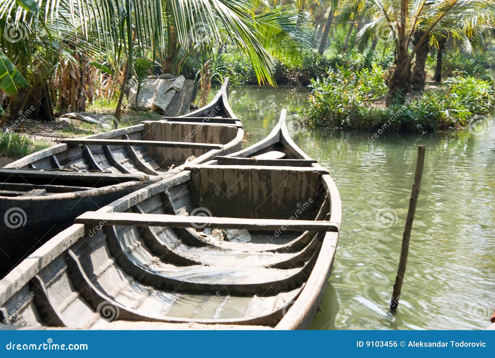Boats Floating on the Canal in Tropical Forest Stock Photo - Image of ...