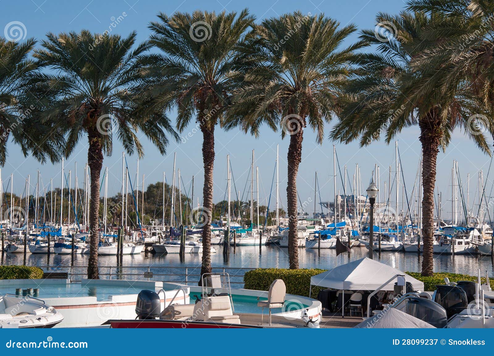 Boats in Florida Marina stock image. Image of outdoors - 28099237
