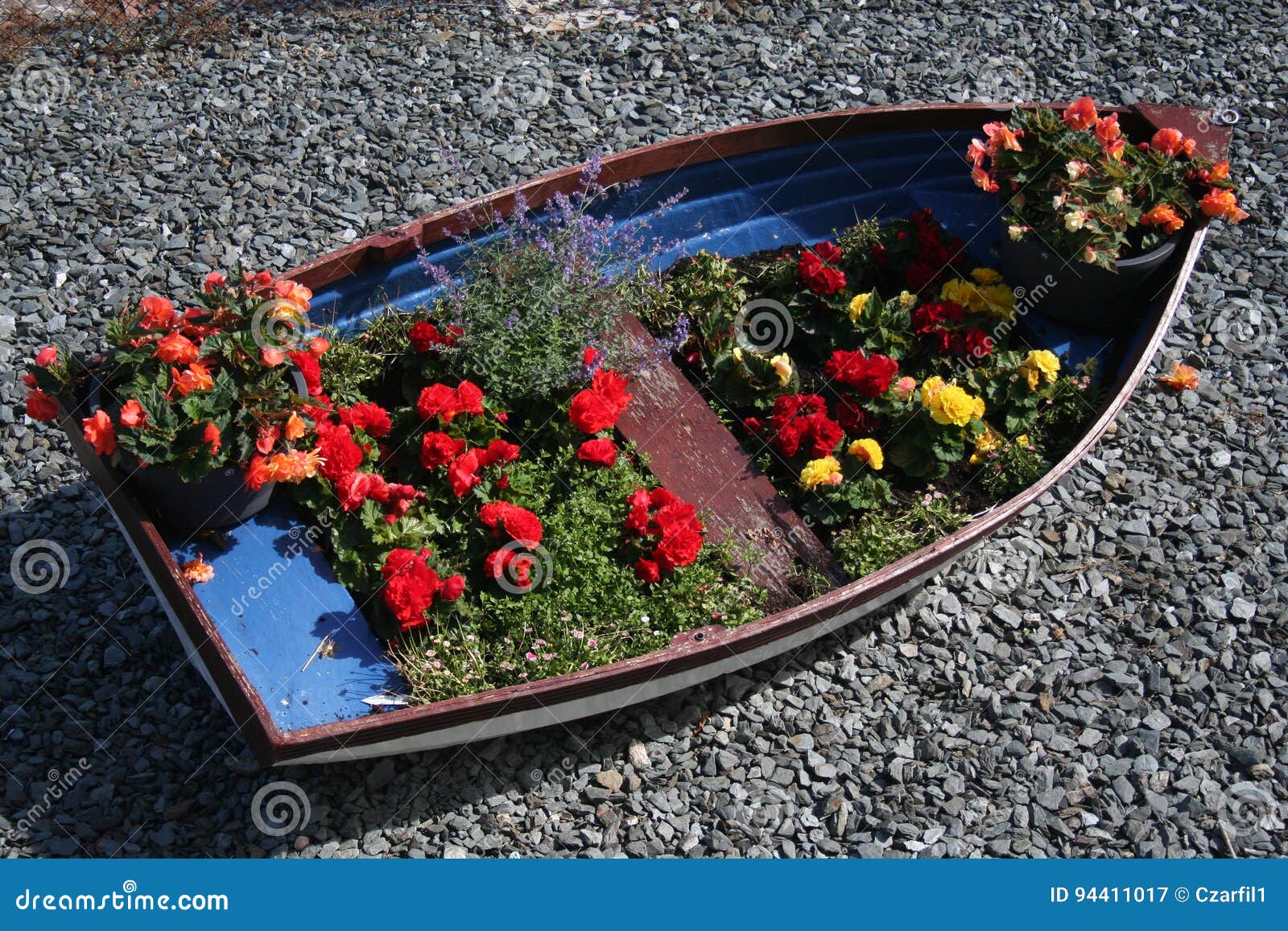 Boats flowers stock image. Image of colorfull, blooming - 94411017