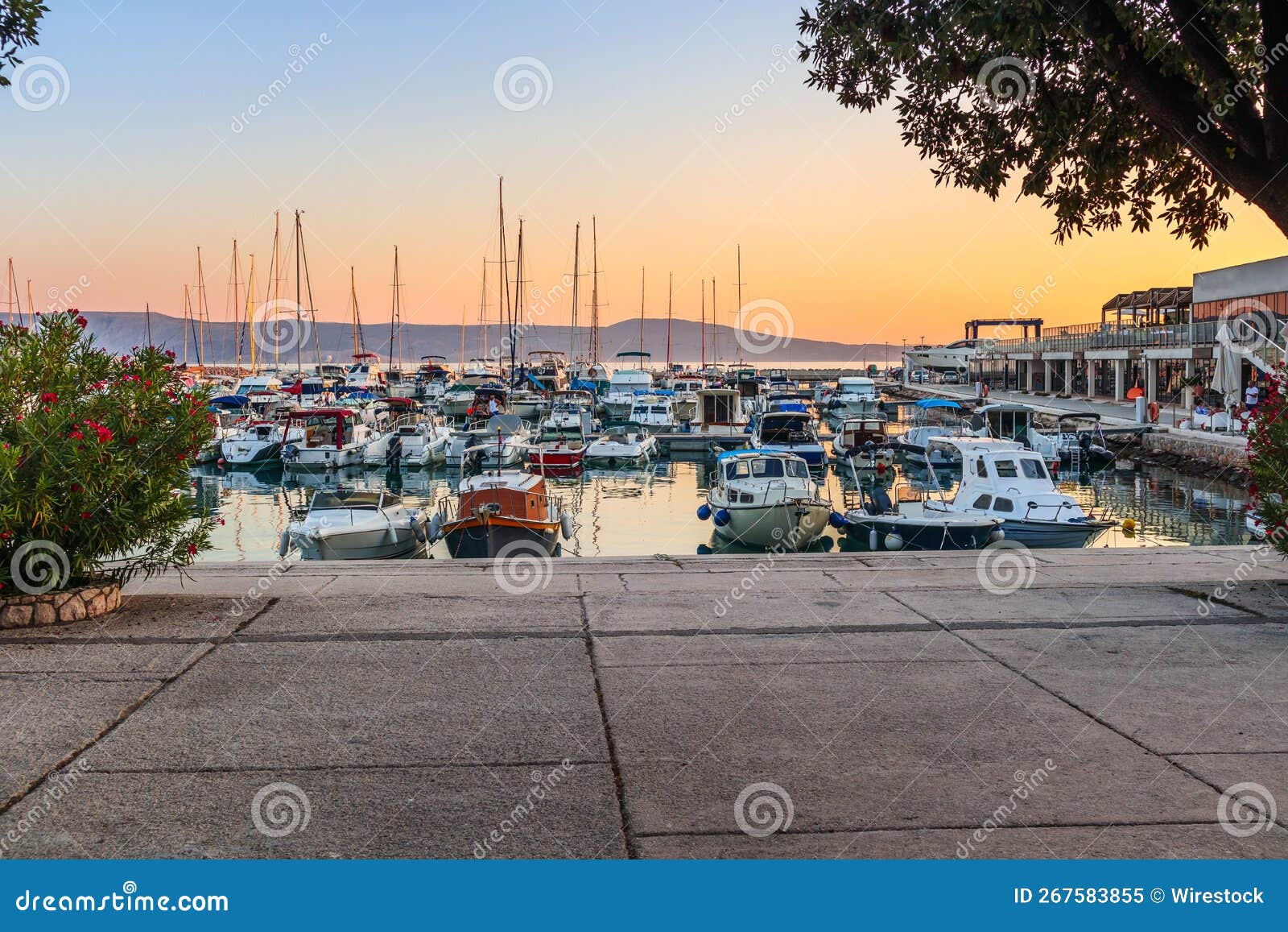 Boats in a Harbor at Sunset Stock Image - Image of ocean, sailing ...