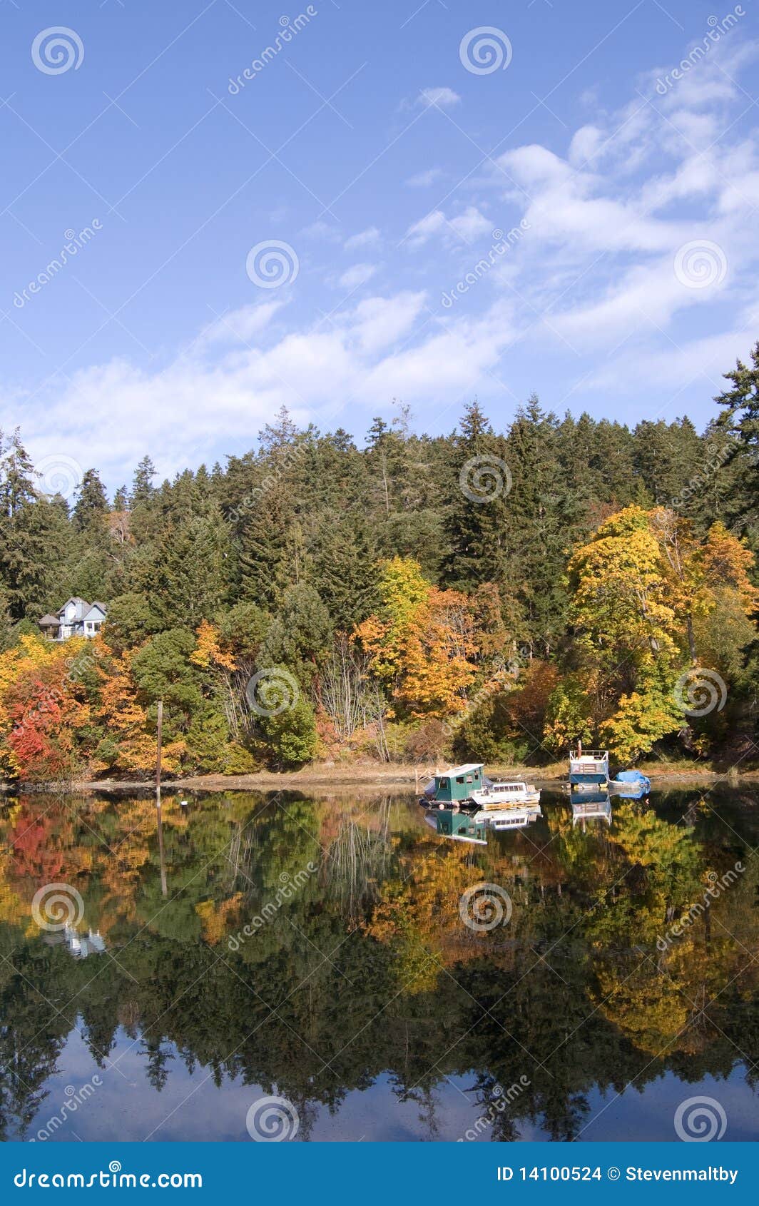 Boats in Marina, with Fall Colours Stock Photo - Image of water, marina ...