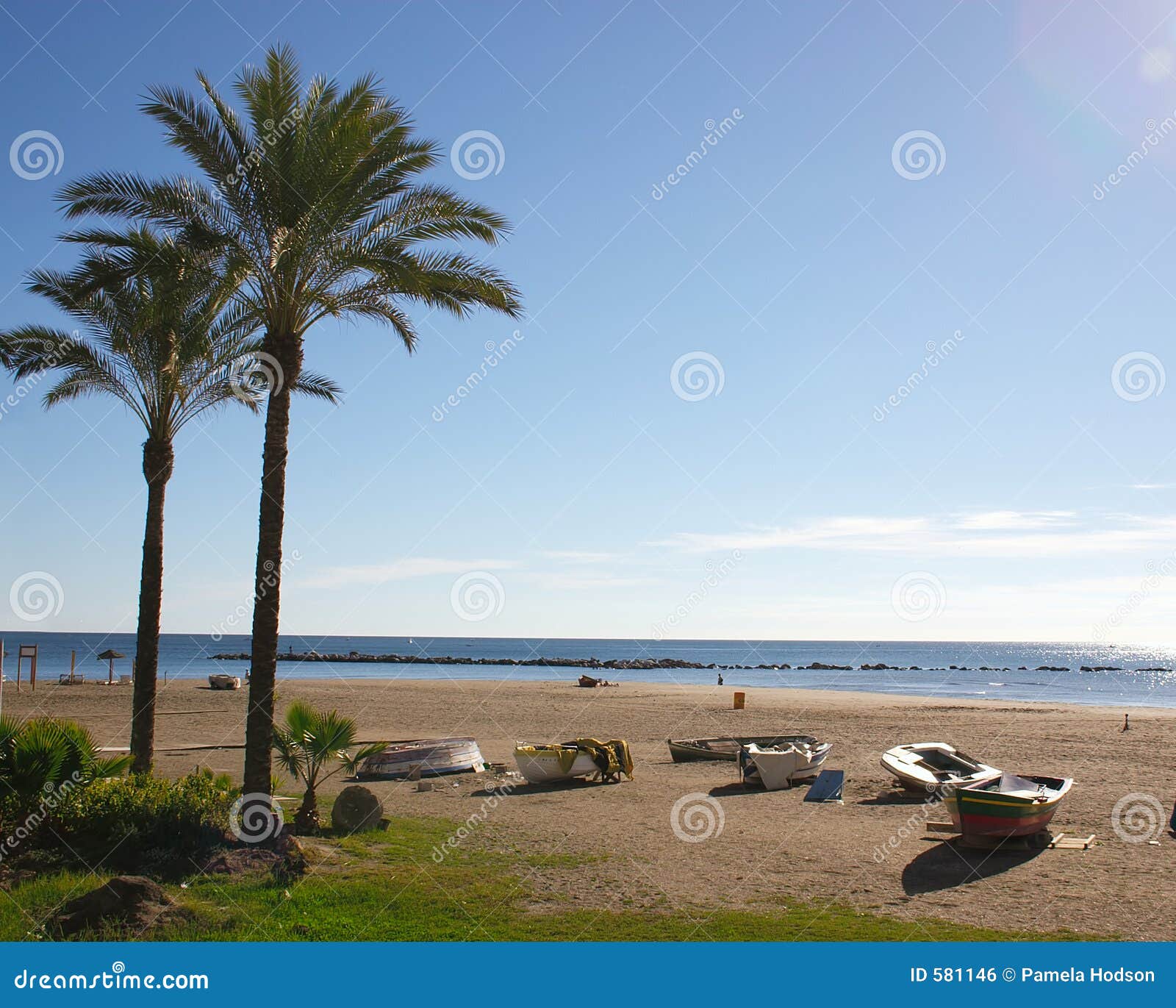 Boats and palm trees stock photo. Image of shadows, island - 581146