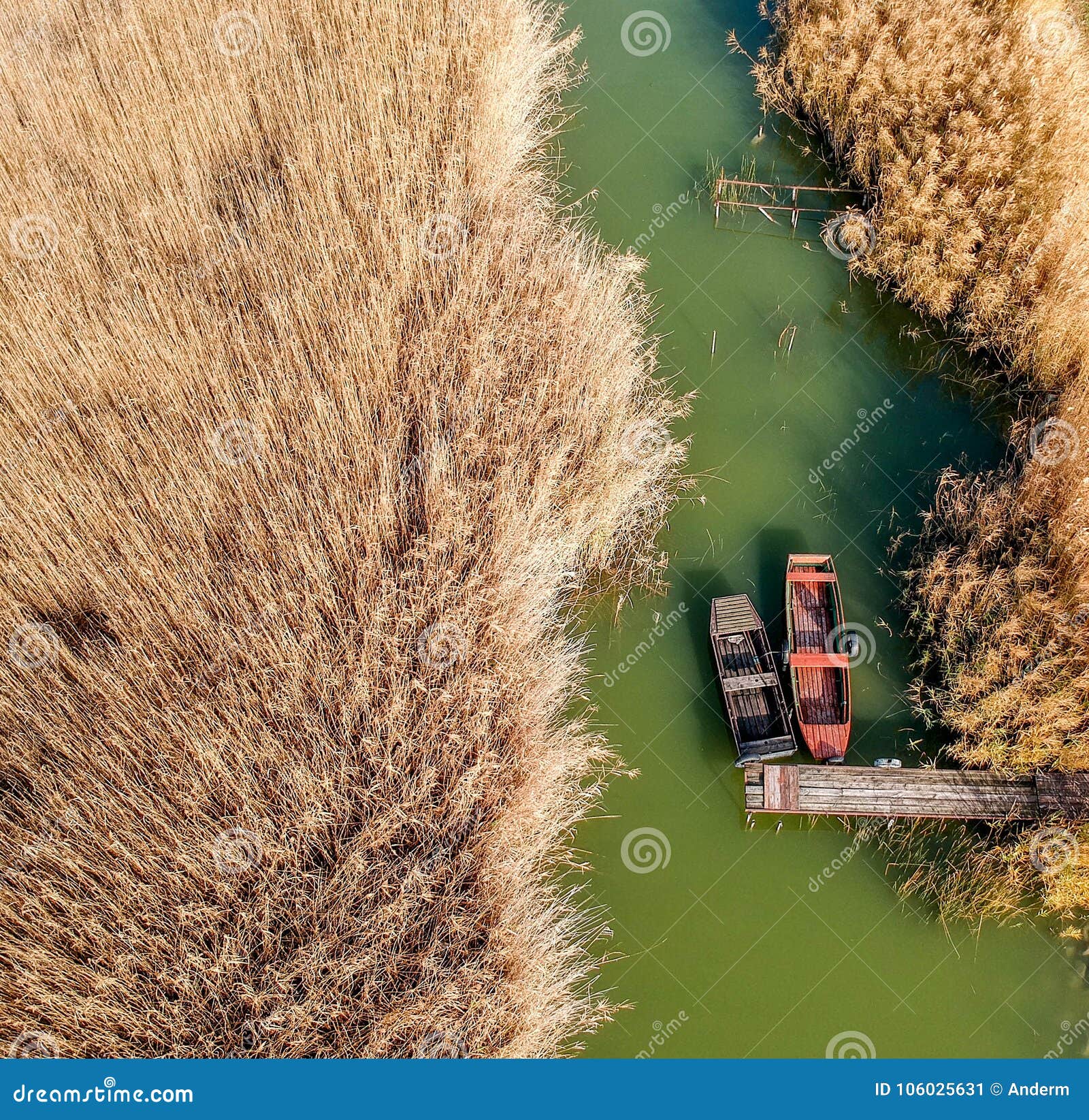 Boats in the reed stock image. Image of water, boat - 106025631