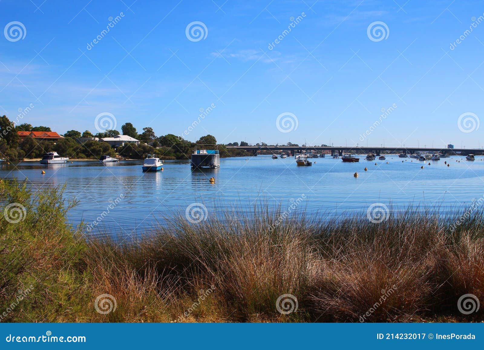 Boats in Front of Canning Bridge in Perth, Western Australia Stock ...
