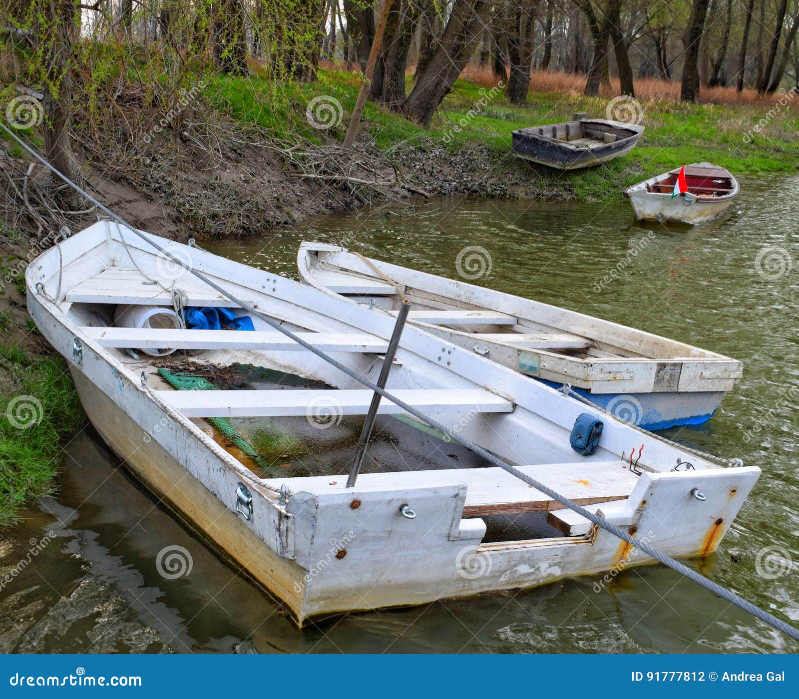 Boats stock photo. Image of water, trees, riverside, amazing - 91777812