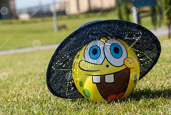 Bob editorial stock image. Image of yellow, swim, pool - 28623979