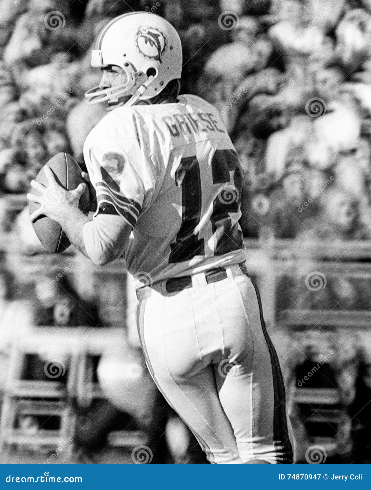 Bob Griese editorial photography. Image of dolphins, football - 74870947