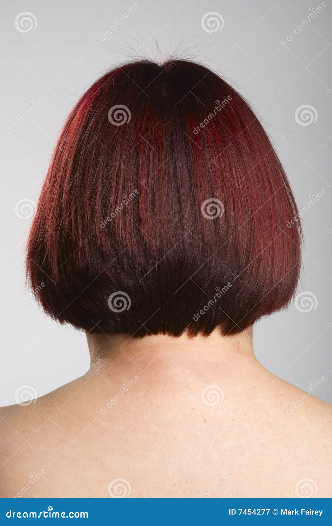 Long Bob Haircut Back View
