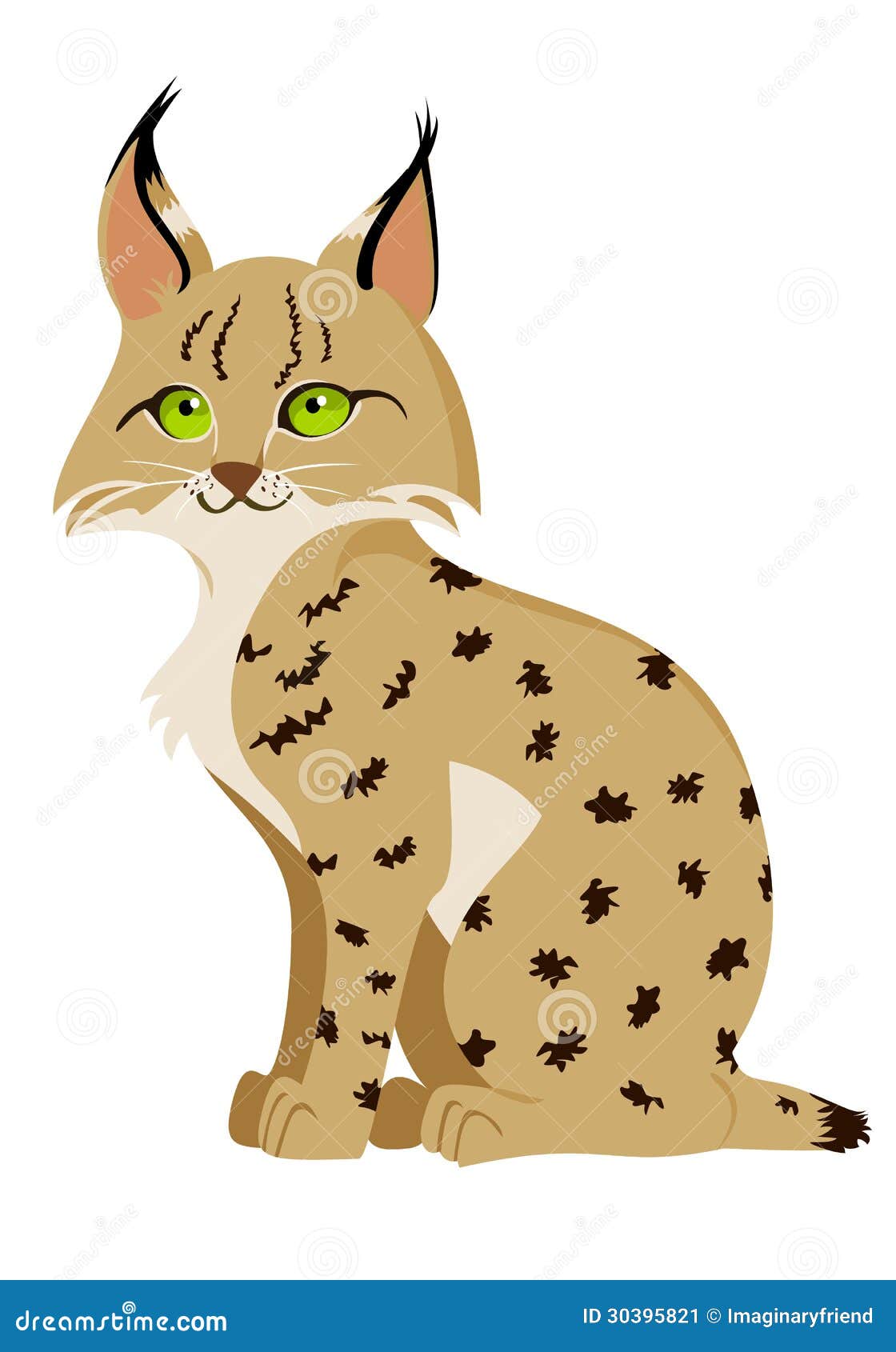 Bobcat stock vector. Illustration of bobcat, vector, vintage - 30395821