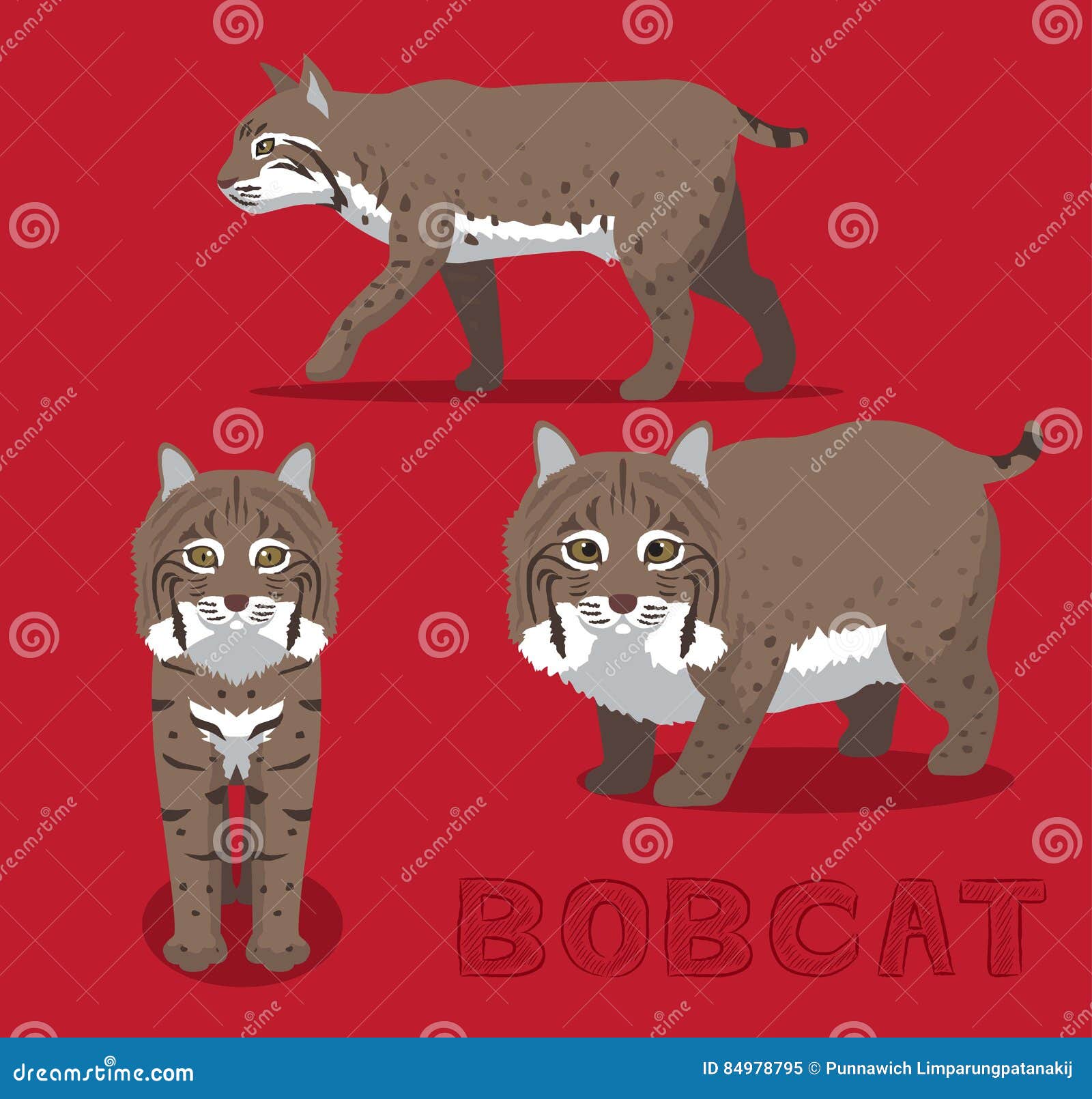 Bobcat Cartoon Vector Illustration | CartoonDealer.com #84978795