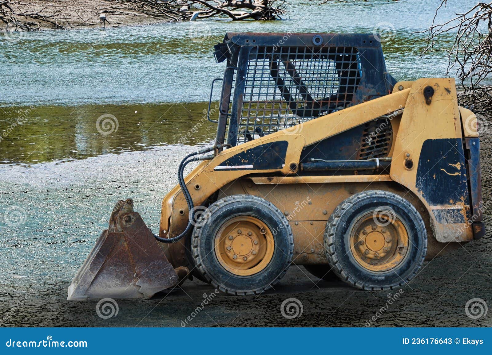 Bobcat or Skid Loader Cleaning Waterways Stock Image - Image of bull ...