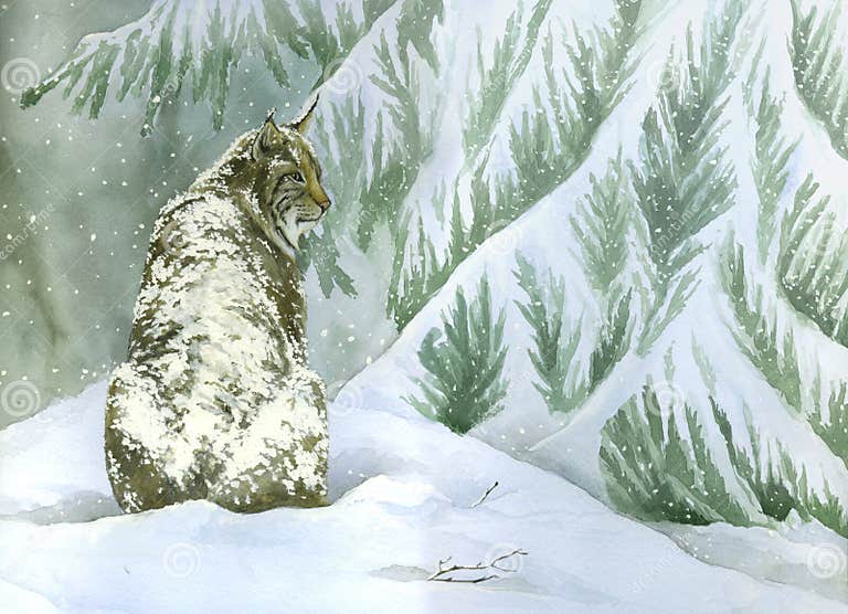 Bobcat Under the Snow Watercolour Stock Illustration - Illustration of ...