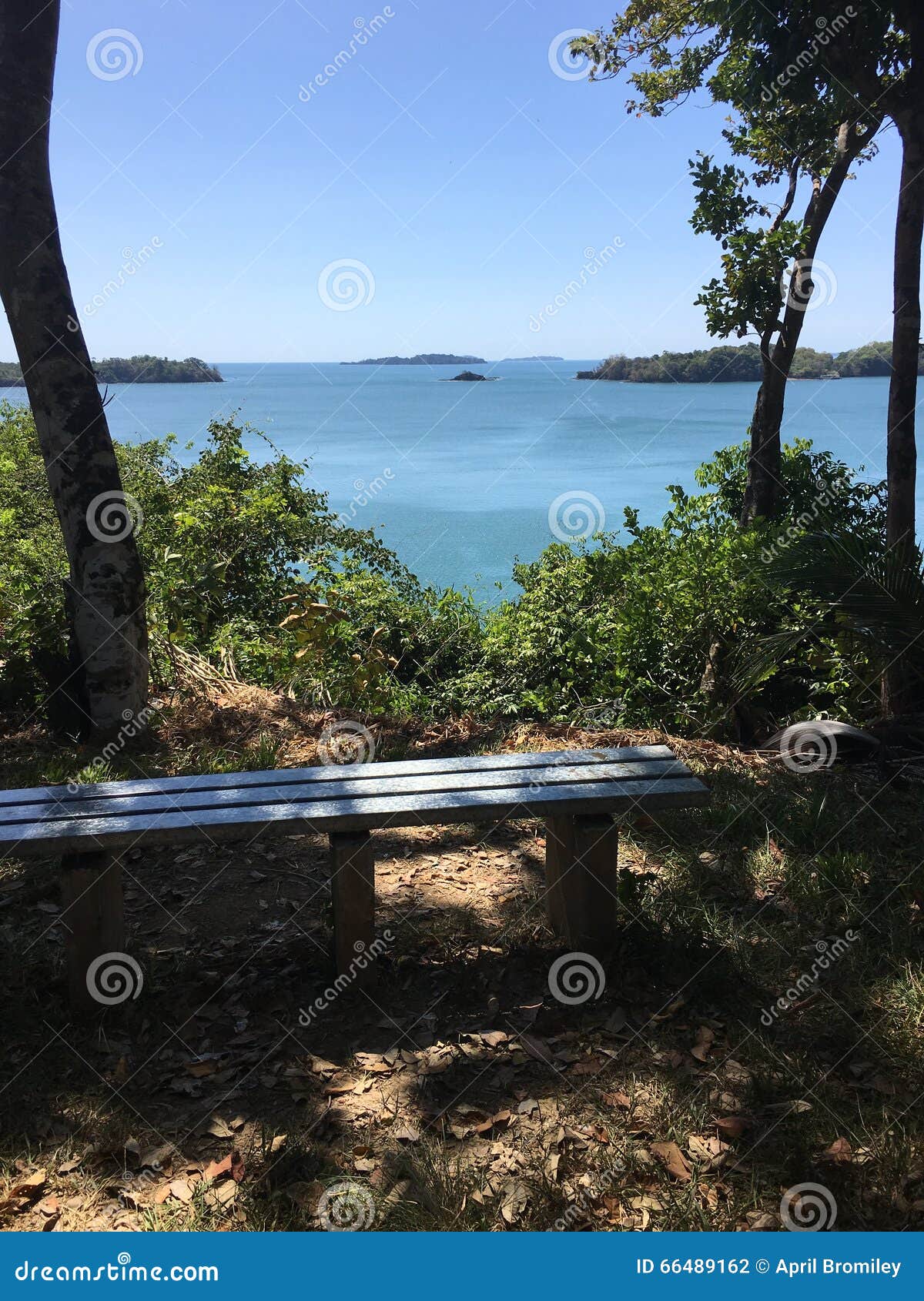 Boca Brava Island stock photo. Image of beaches, plant - 66489162