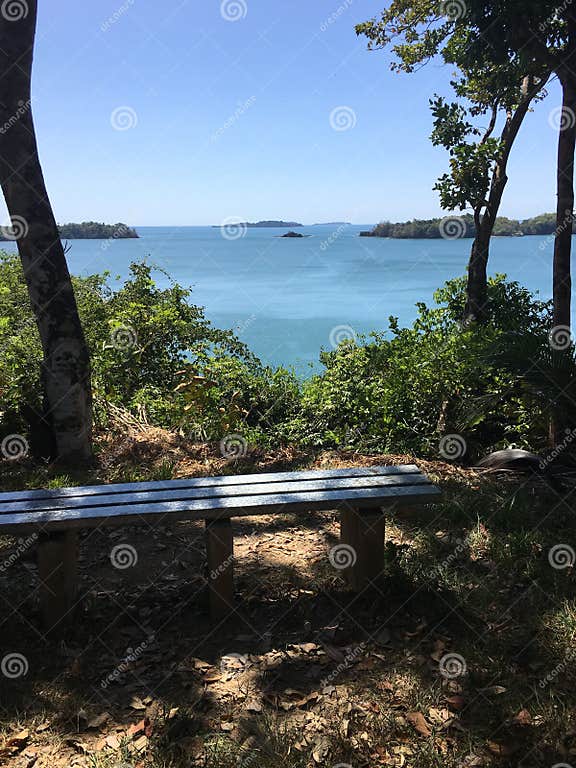 Boca Brava Island stock photo. Image of beaches, plant - 66489162