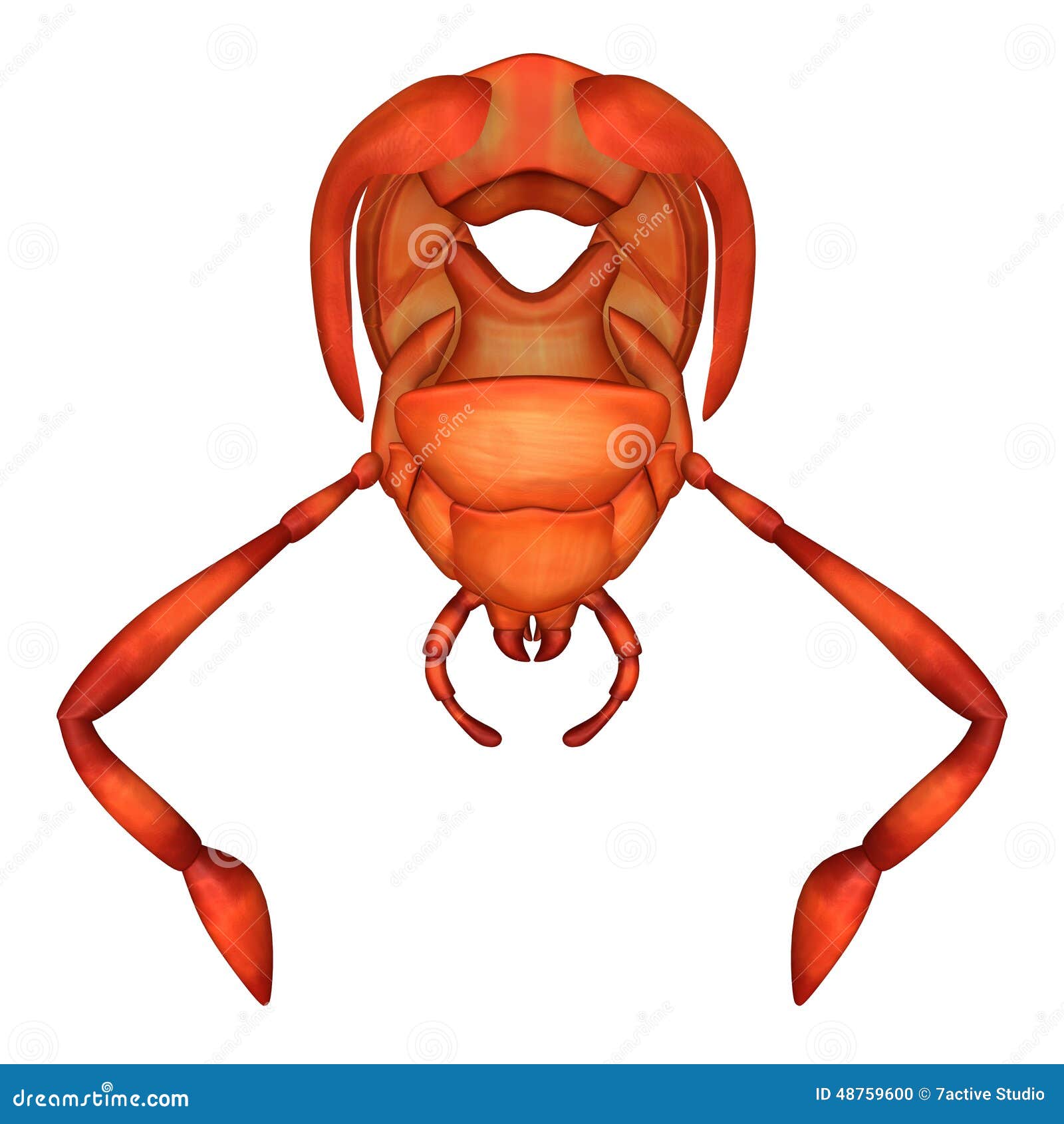 Boca da barata ilustração stock. Ilustração de rastejar - 48759600