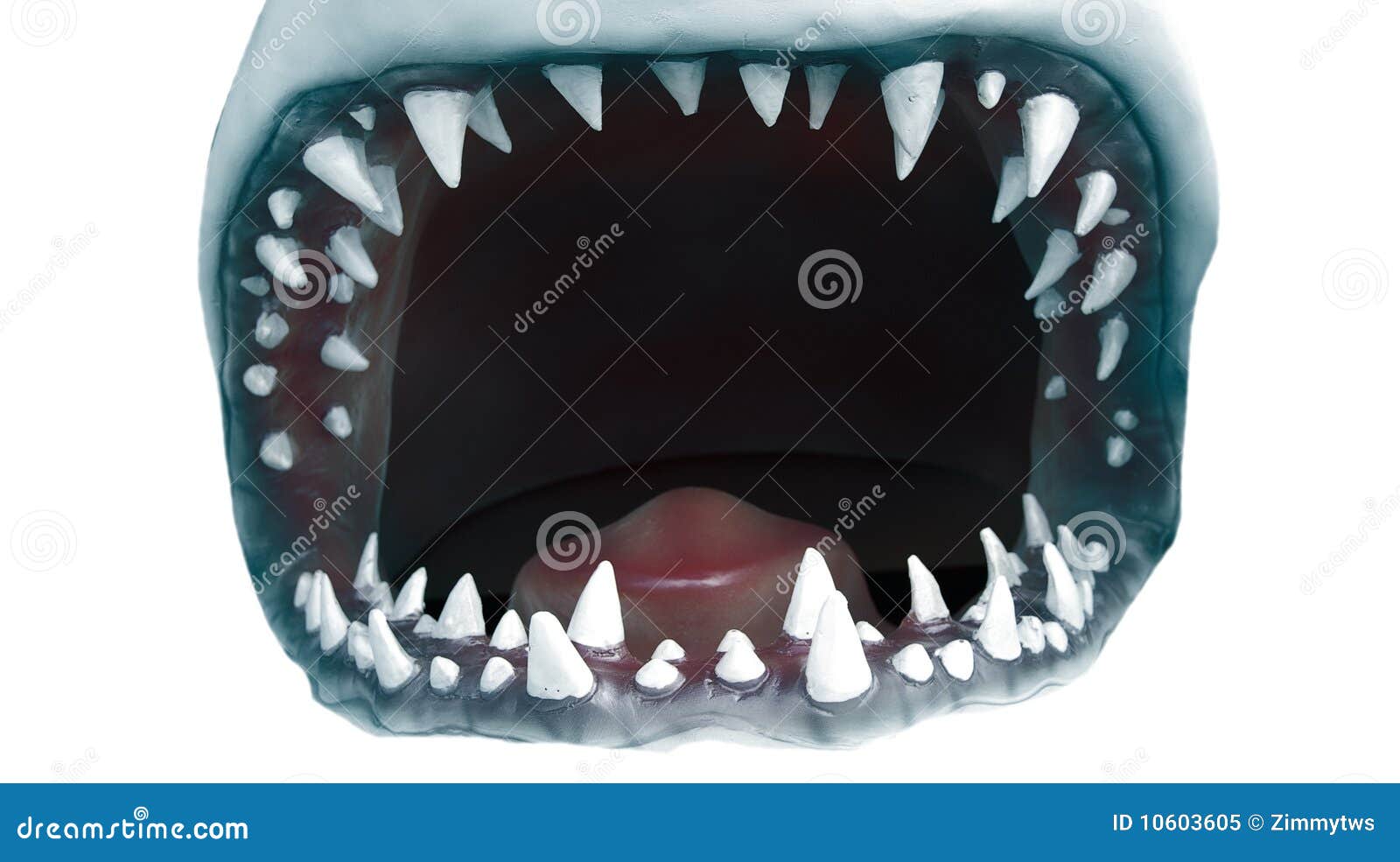 Boca do tubarão imagem de stock. Imagem de coma, rasgo - 10603605