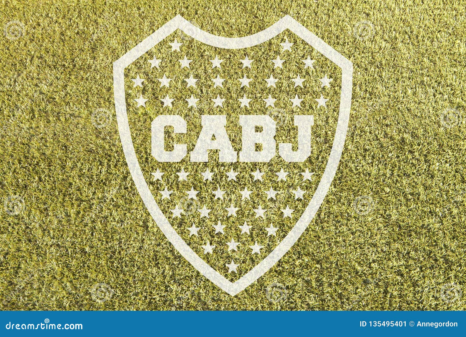 Boca Junior Emblem on Grass Editorial Photo - Image of football ...