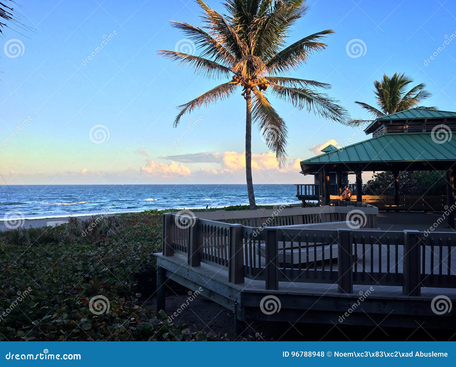 Boca Raton at sunset stock photo. Image of palmtree, bocaraton - 96788948