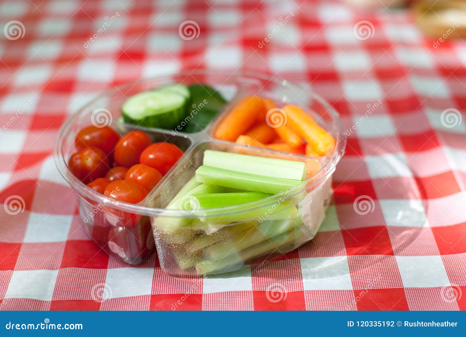 Bocados Sanos De La Comida Campestre Foto de archivo - Imagen de bocado ...