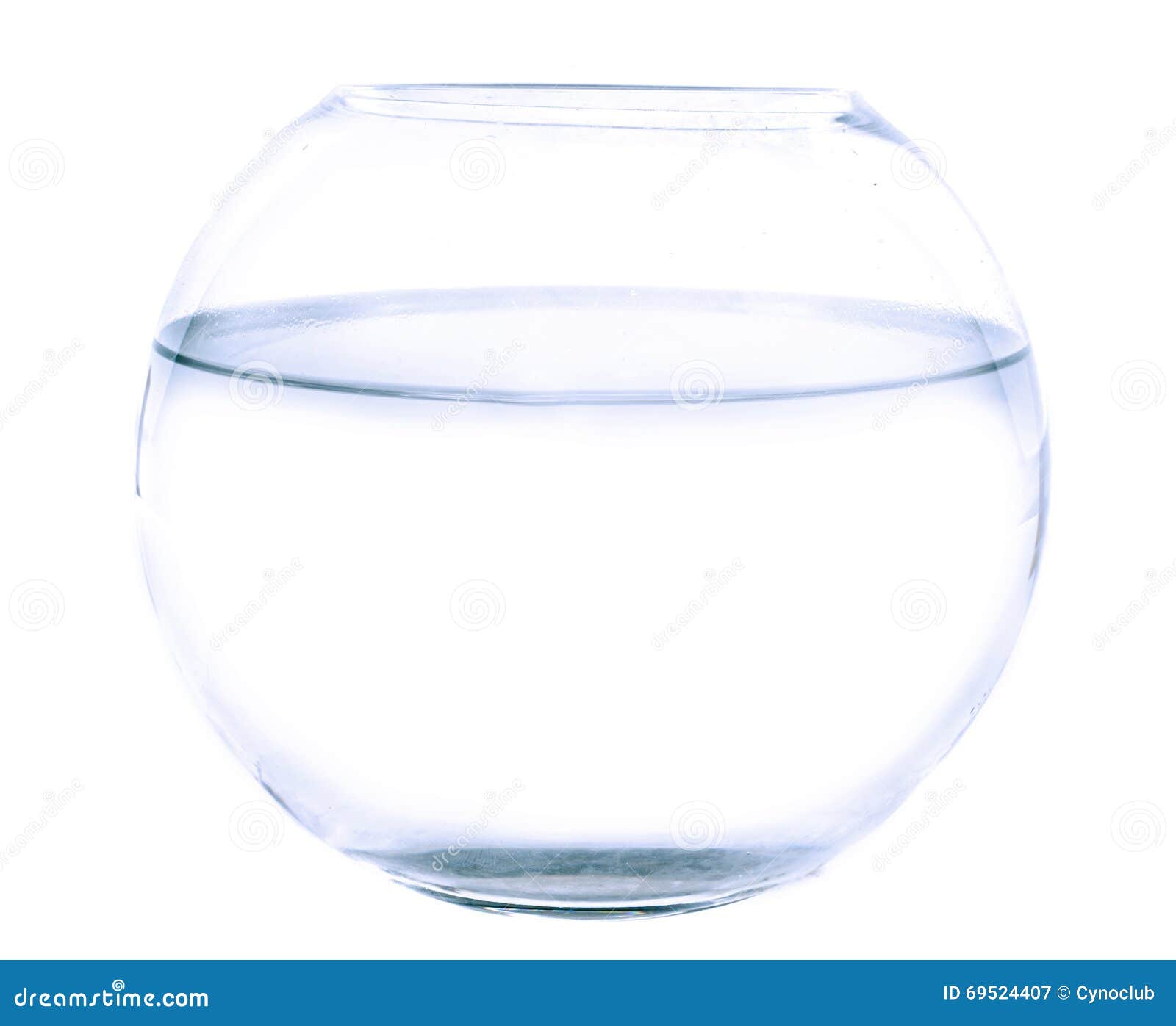 Bocal à Poissons Dans Le Studio Image stock - Image du studio, blanc ...