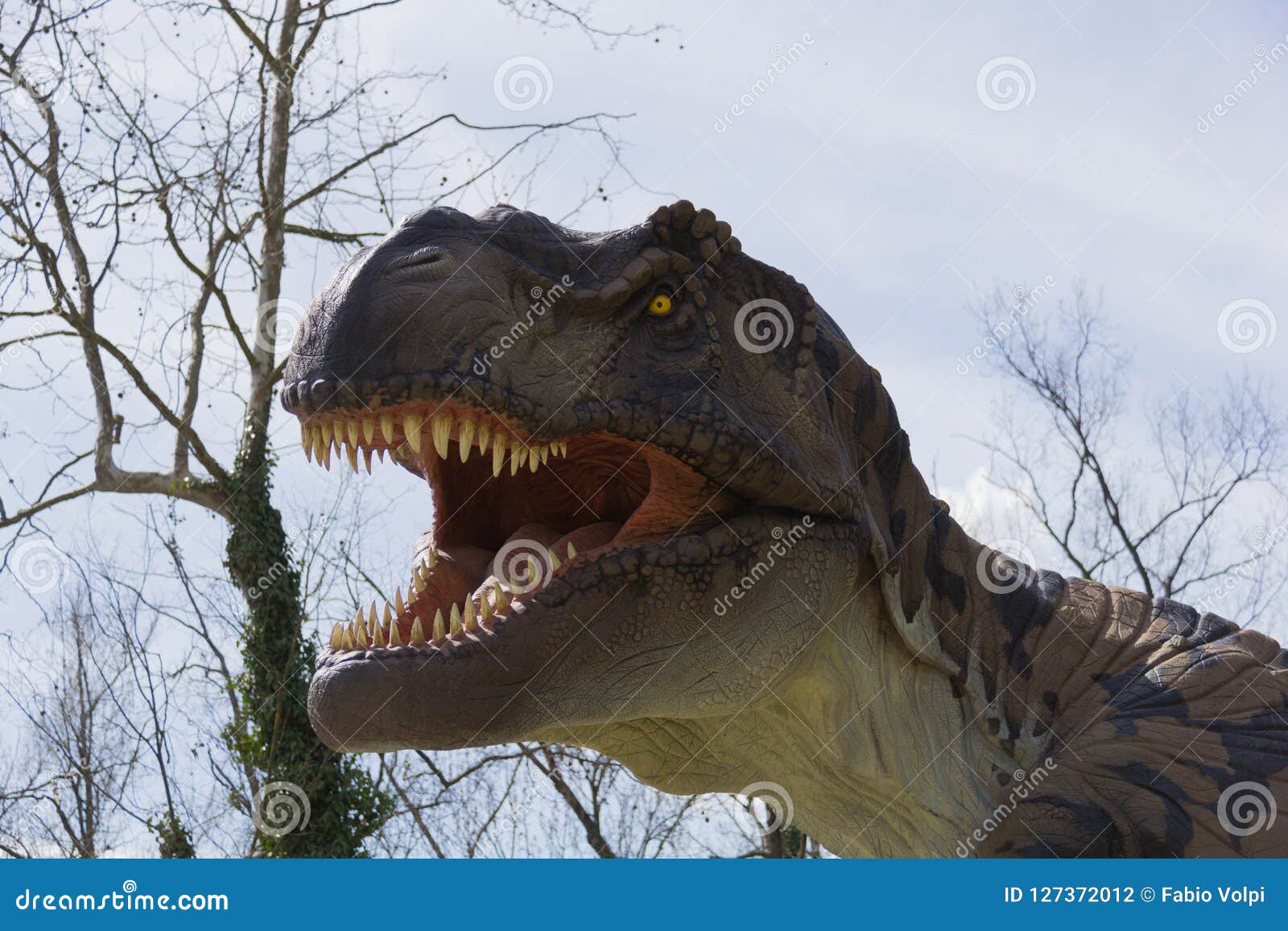 Bocca Di Un T Rex Foto Stock - Download 144 Royalty Free Photos