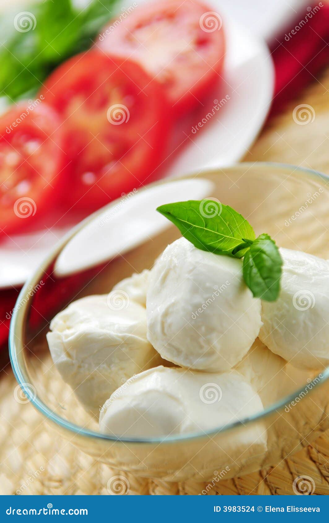 Bocconcini cheese stock photo. Image of leaf, ingredients - 3983524