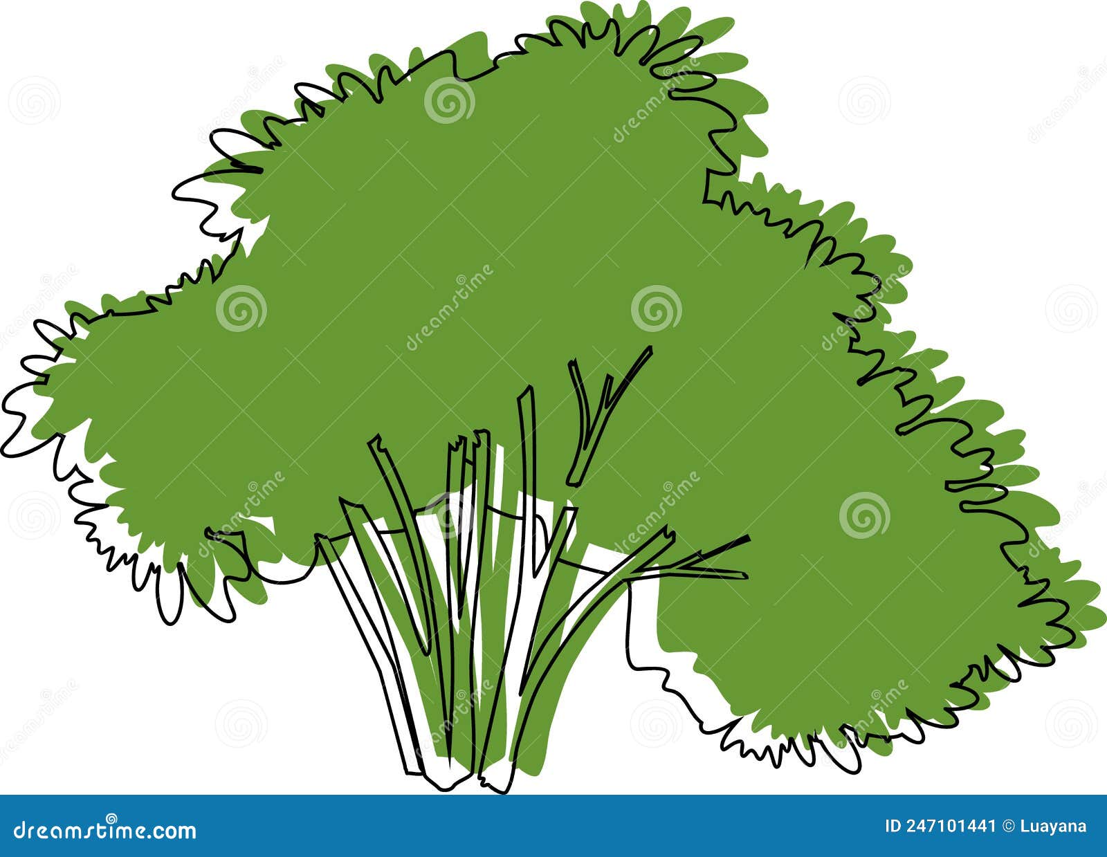 Boceto de arbusto verde ilustración del vector. Ilustración de bosquejo ...