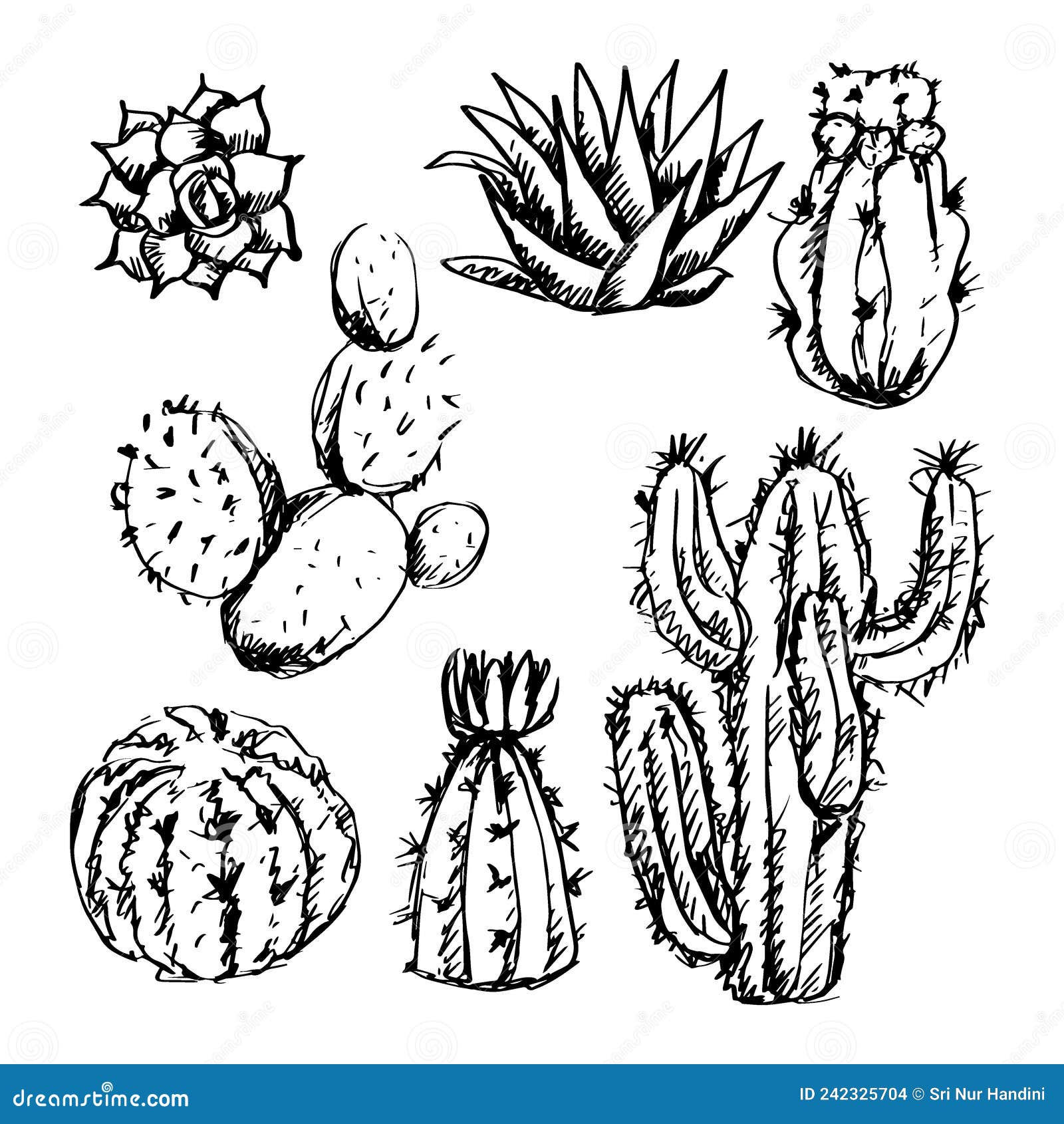 Boceto Del Conjunto De Cactus. Ilustración del Vector - Ilustración de ...