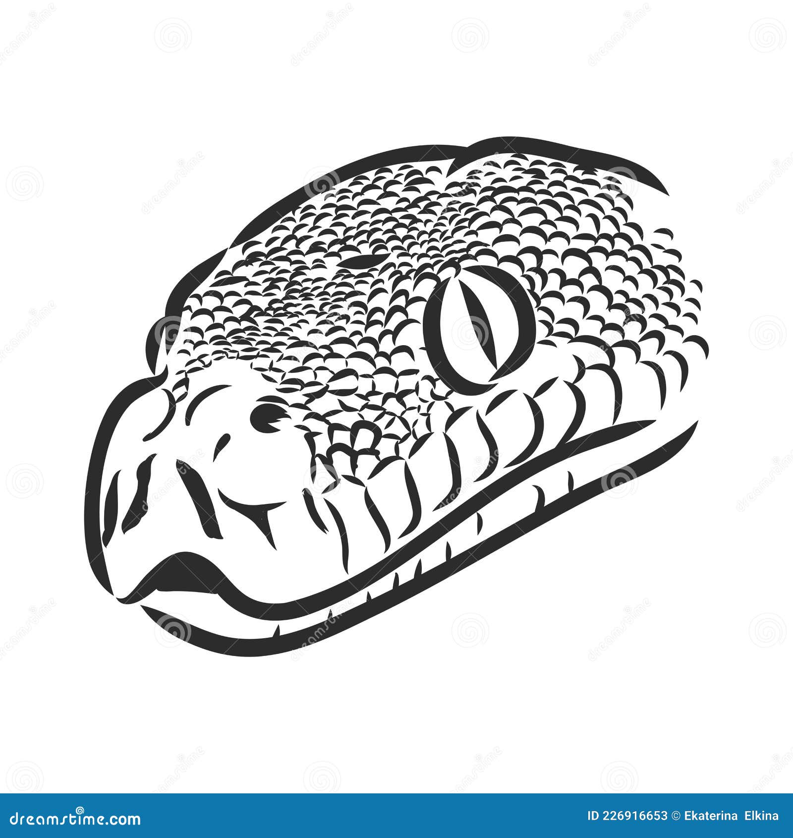 Boceto En Blanco Y Negro De Un Boceto Vectorial Python De Serpiente ...