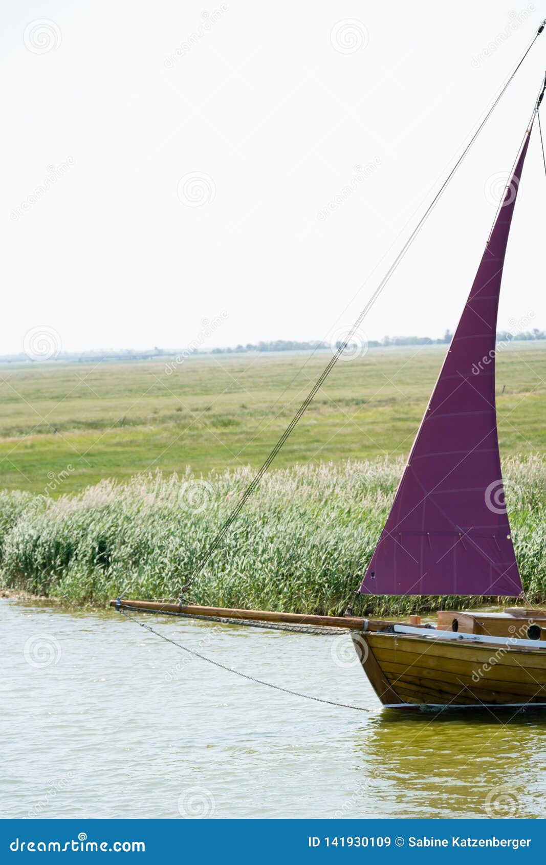German Bodden landscape stock image. Image of beautiful - 141930109