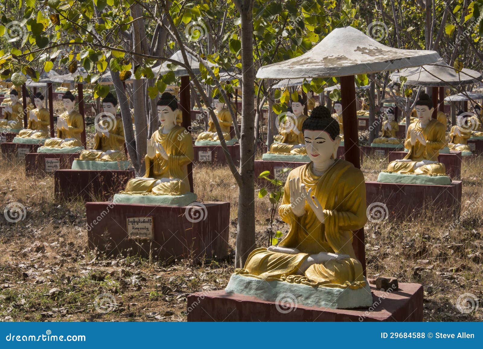 Boddhi-Tathaung Buddha Field - Monywa - Myanmar Stock Photo - Image of ...