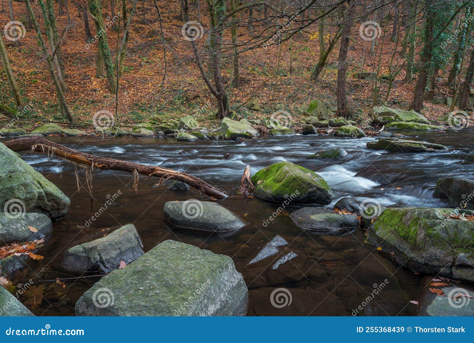 Bodetal in Which the River Bode Flows in a Gorge through the Autumn ...