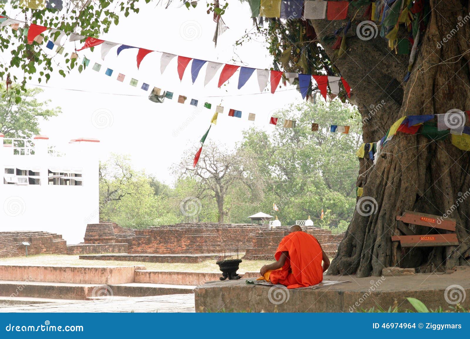 Bodhi Tree in Lumbini and Monks Stock Photo - Image of place, south ...