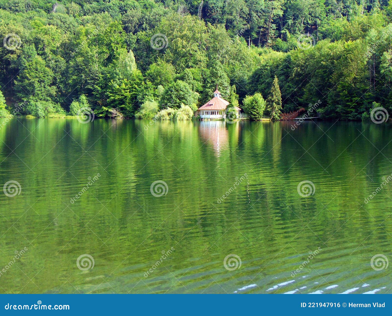 Bodi Lake Mogosa in Maramures County Stock Photo - Image of water ...