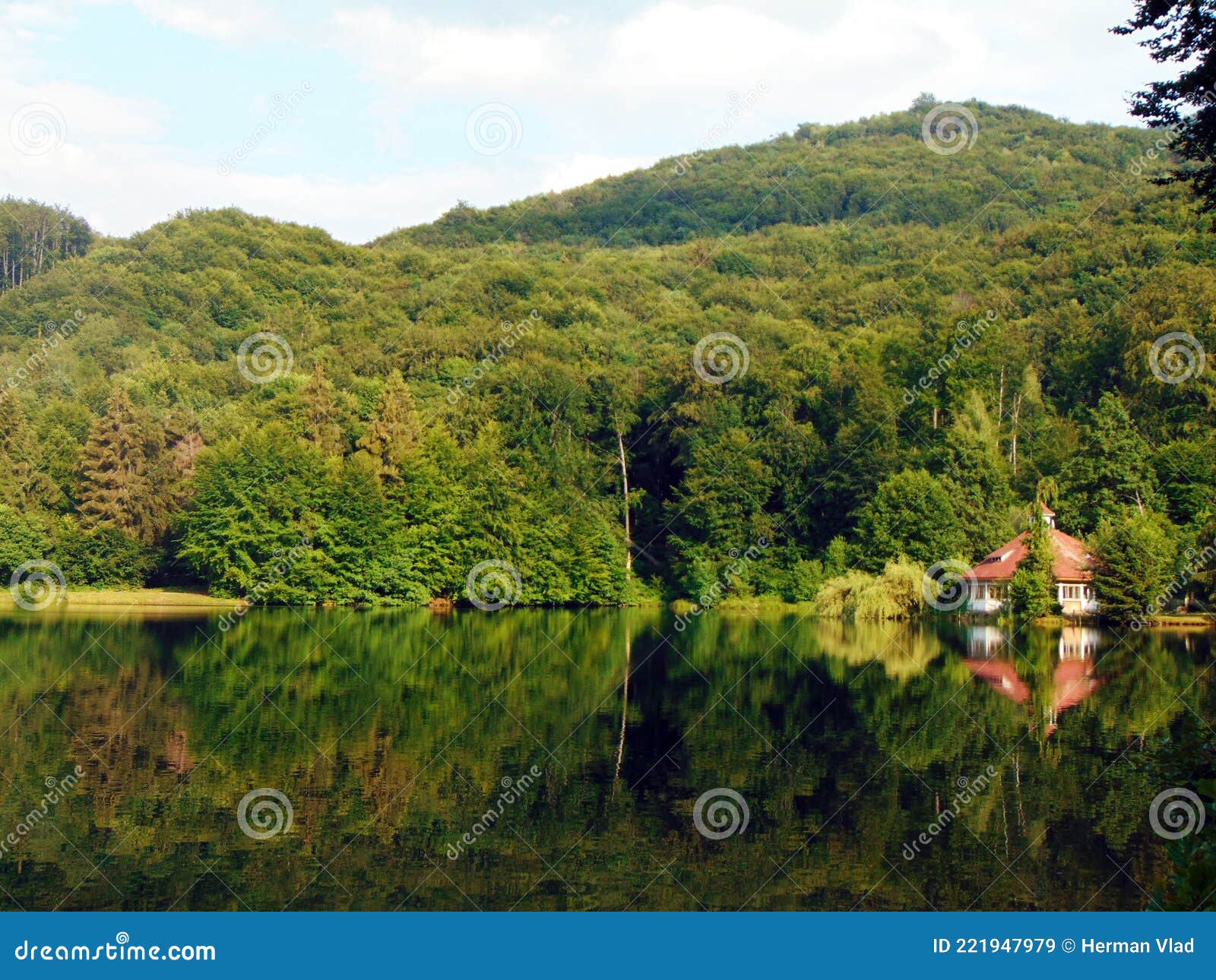 Bodi Lake Mogosa in Maramures County Stock Image - Image of lake ...
