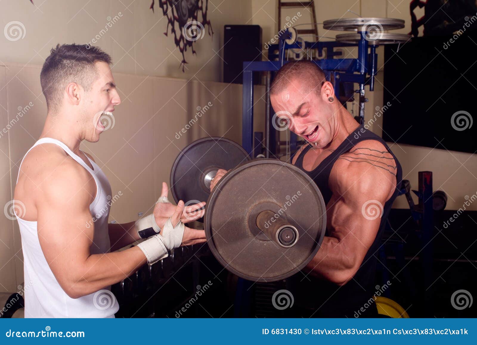 Bodibuilders training stock photo. Image of carry, handsome - 6831430