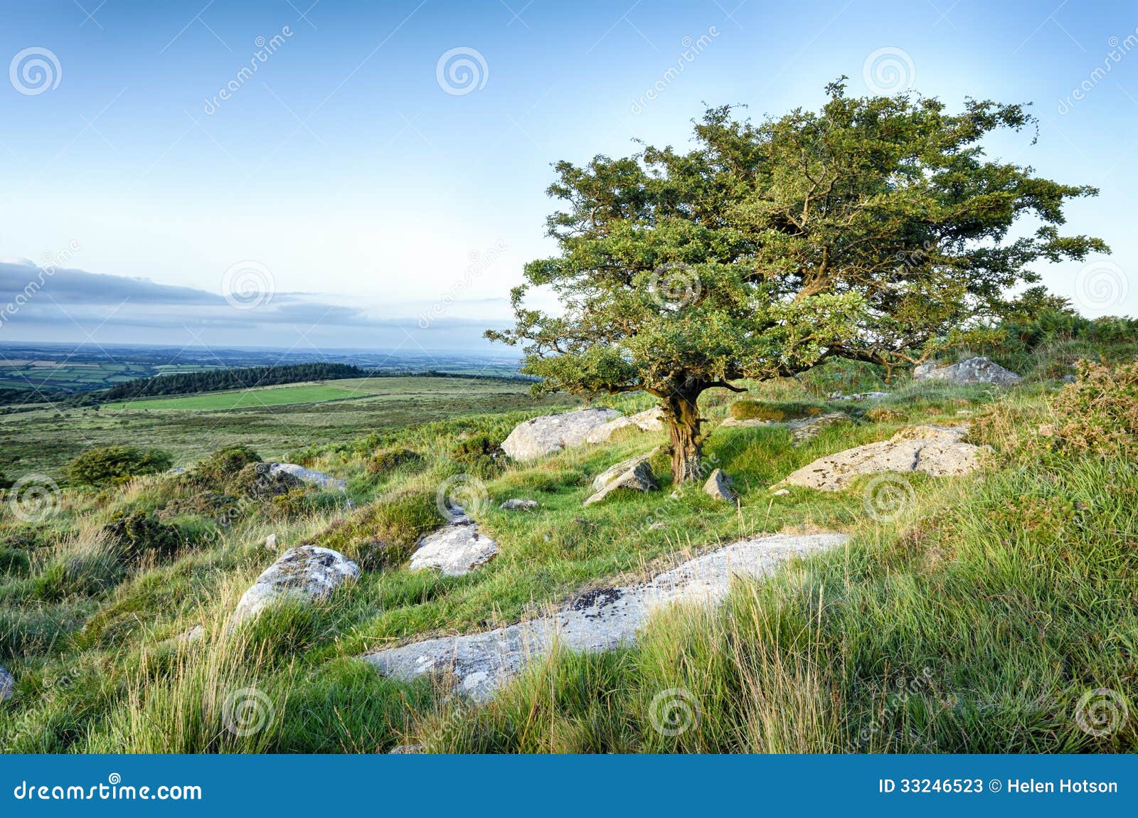 Bodmin Moor stock image. Image of kernow, moor, green - 33246523