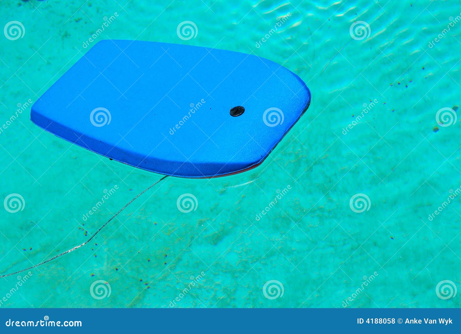Body Board Floating in Pool Stock Photo - Image of swimming, outside ...