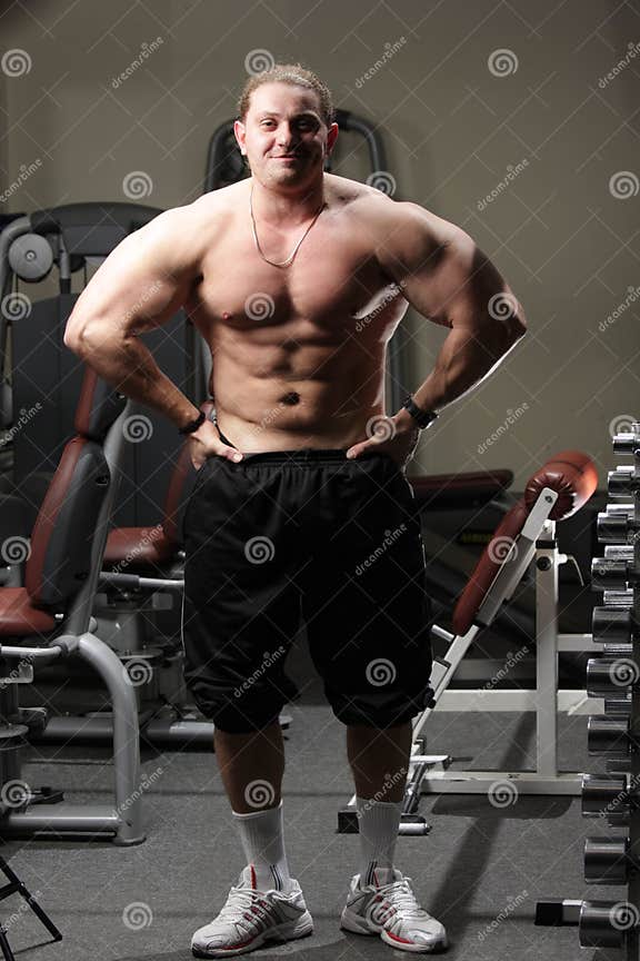 Body-builder stock image. Image of indoors, healthy, thews - 7019215